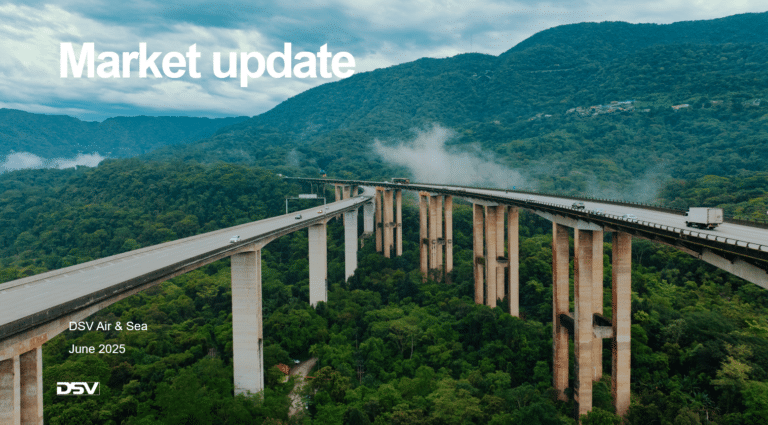DSV Global Market Update - June 2025 - עדכון גלובלי